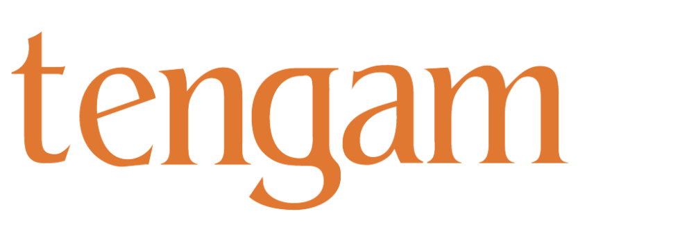 Tengam Engineering | Innovative leaders in bonded magnet & motor ...